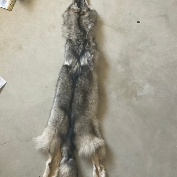 Wolf Pelt - Etsy
