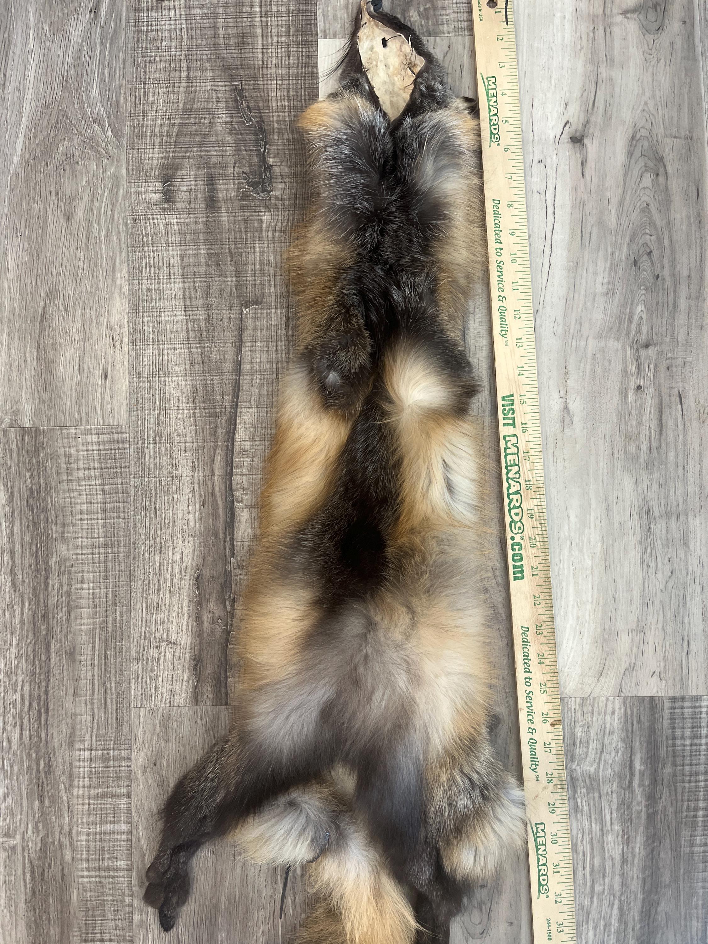 Wild Cross Fox Fur Pelt Taxidermy Art Craft Powwow - Etsy