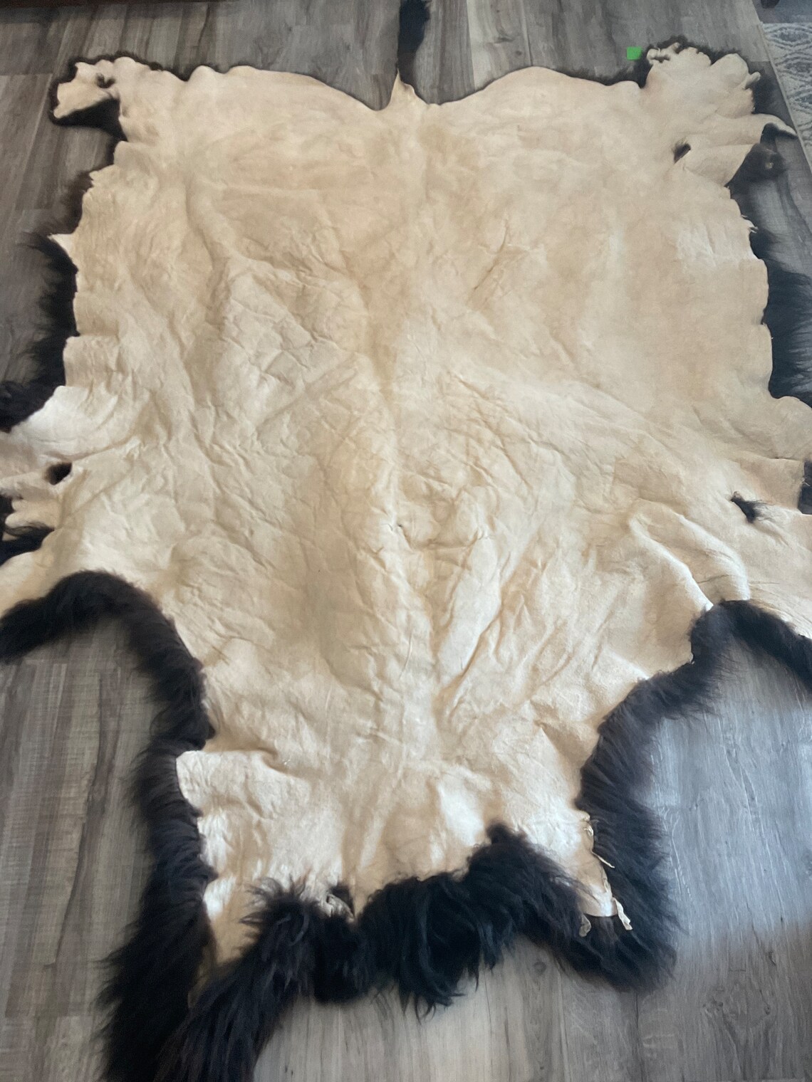 Bison Buffalo Hide Robe Fur Taxidermy Art Craft Powwow - Etsy