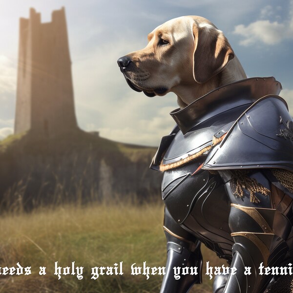 Medieval Dog Armor - Etsy