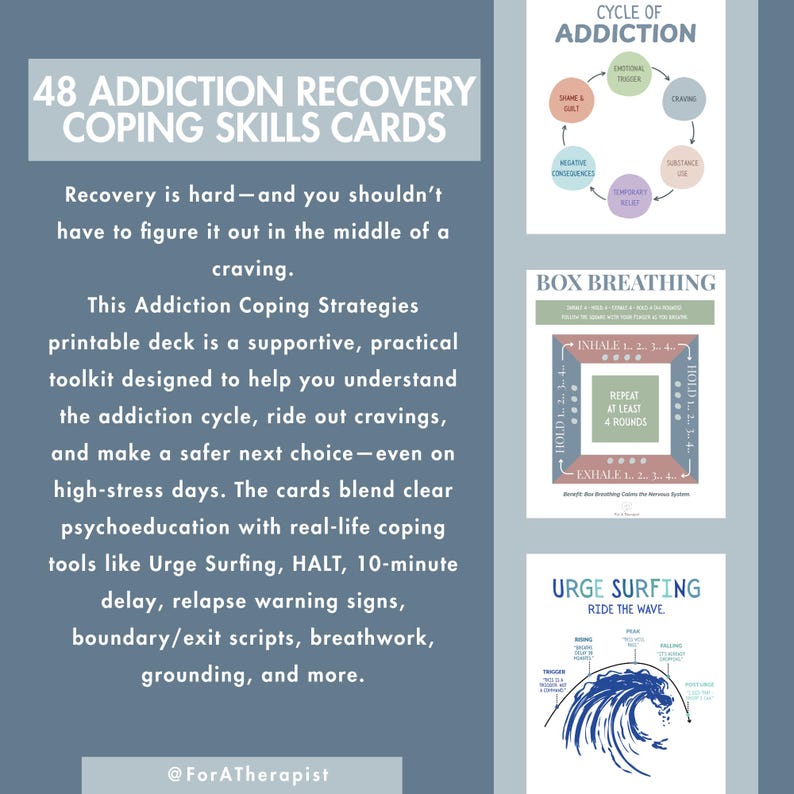 48 Addiction Recovery Coping Skills Cards, Relapse Prevention Plan ...