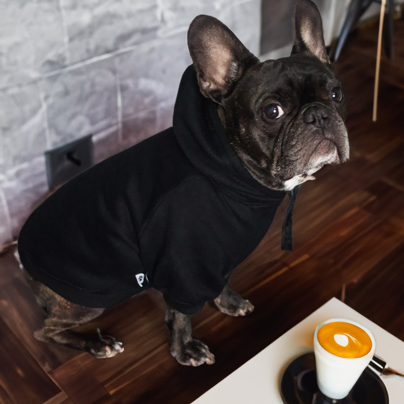 French Bulldog Clothes for Dogs - Etsy