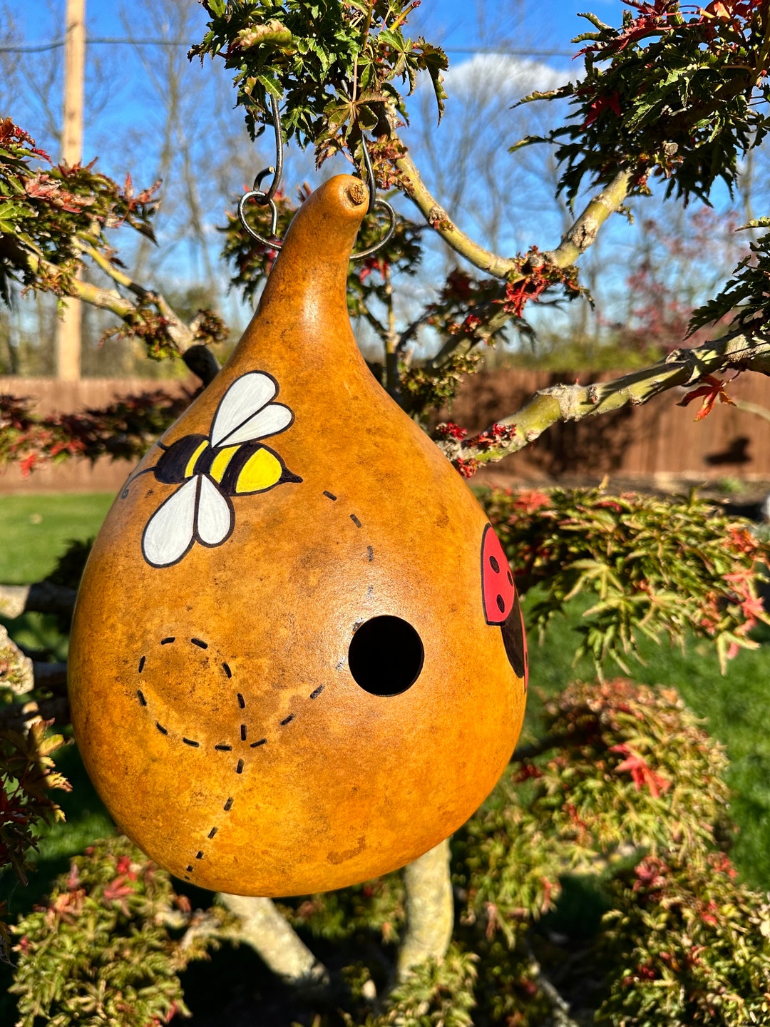 Gourd Birdhouse Bee and Ladybug - Etsy