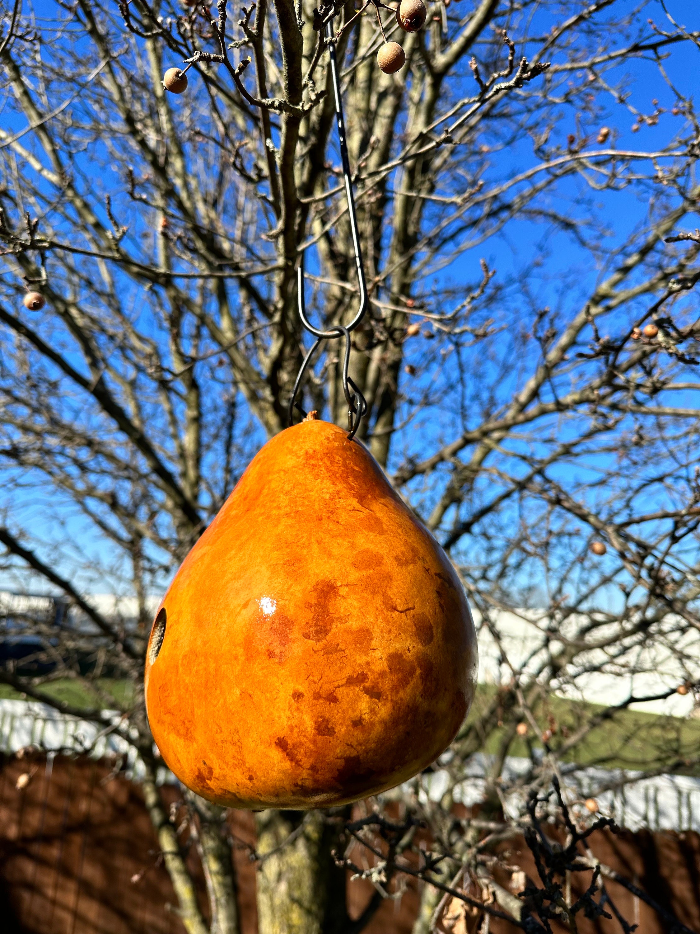 Gourd Birdhouse Light Tan - Etsy