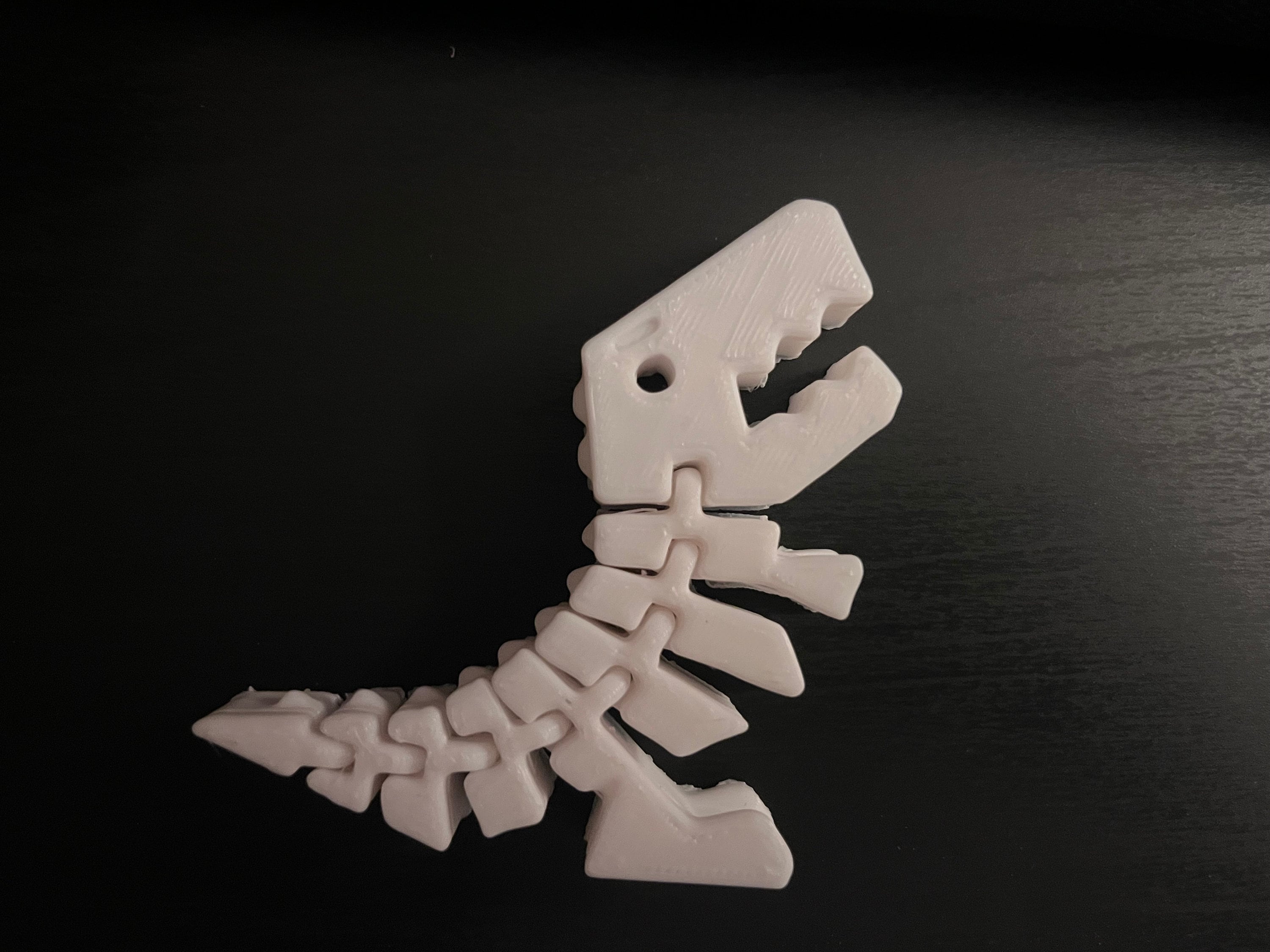 Flexi Rex Fidget Dino Toy - Etsy