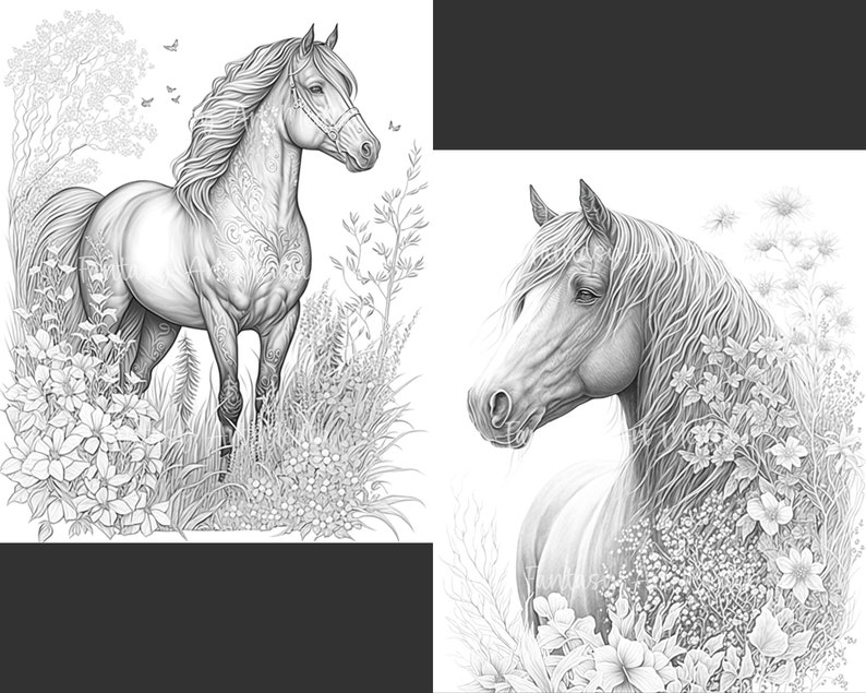 30 Majestic Horses Grayscale Coloring Pages Printable Adult - Etsy