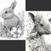 30 Baby Animals on White Grayscale Coloring Pages Printable Adult ...