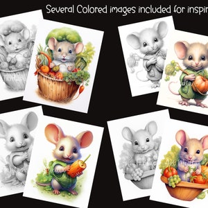 Cute Kitchen Mice Grayscale Coloring Pages, Adults & Children Printable ...