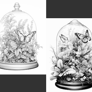 27 Butterfly Terrariums Coloring Pages | Printable Adult Grayscale ...