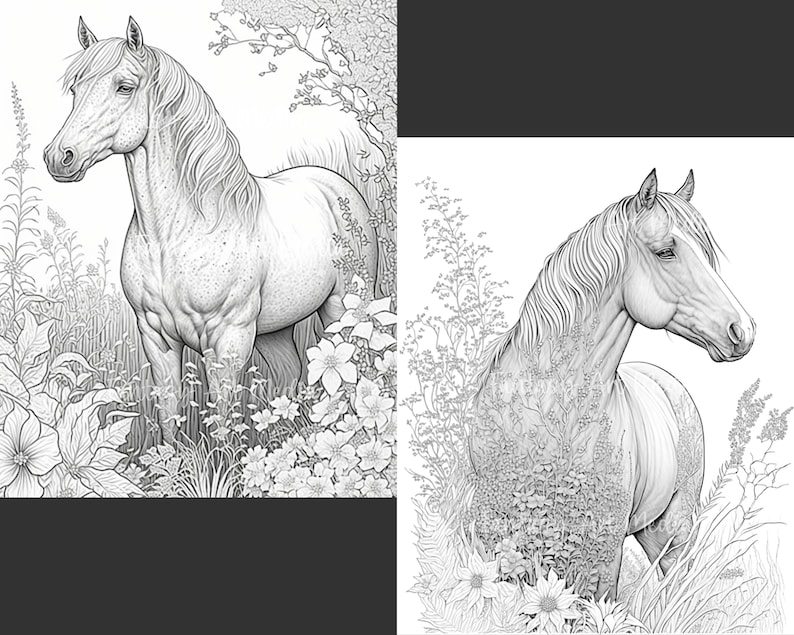 30 Majestic Horses Grayscale Coloring Pages Printable Adult - Etsy