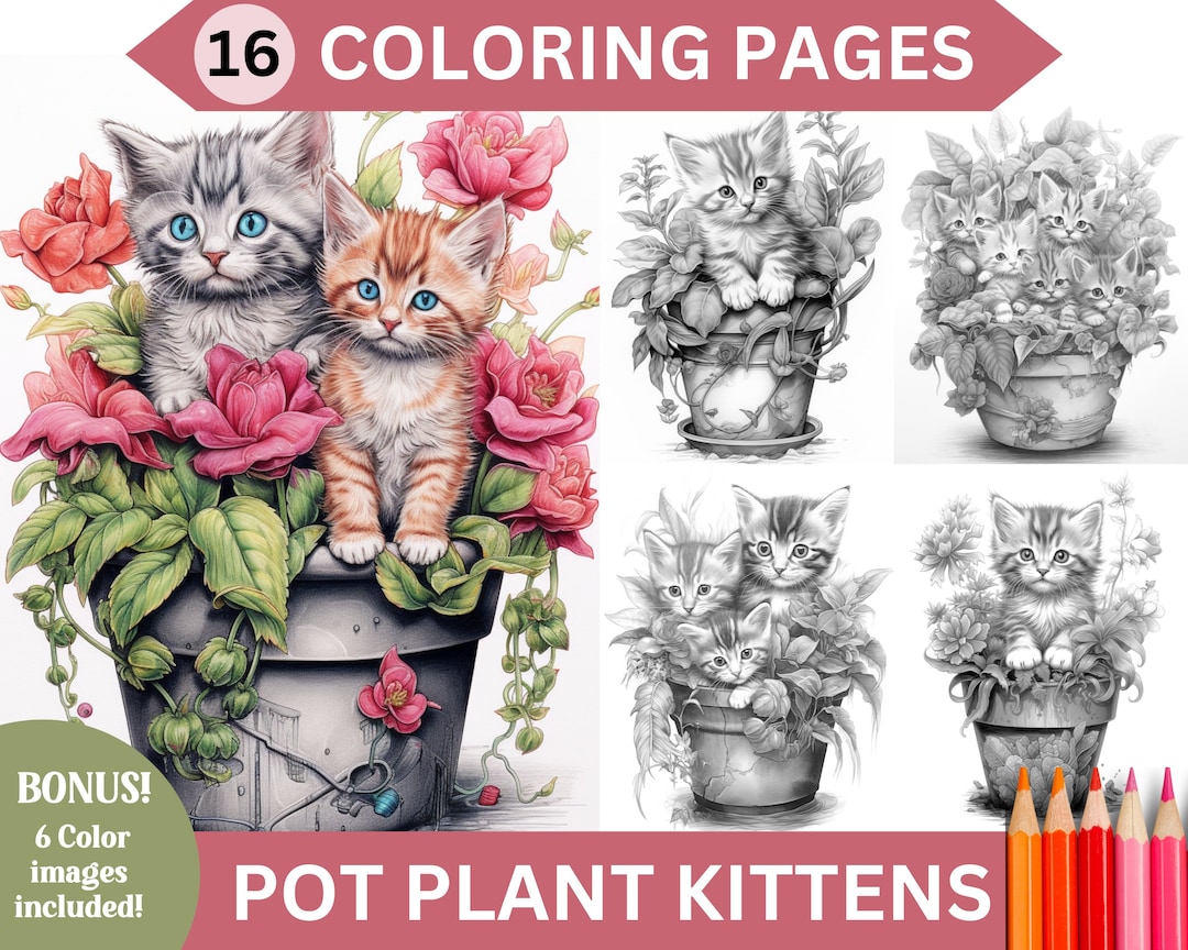 16 Cute Pot Plant Kittens Grayscale Coloring Pages | Printable Adult ...