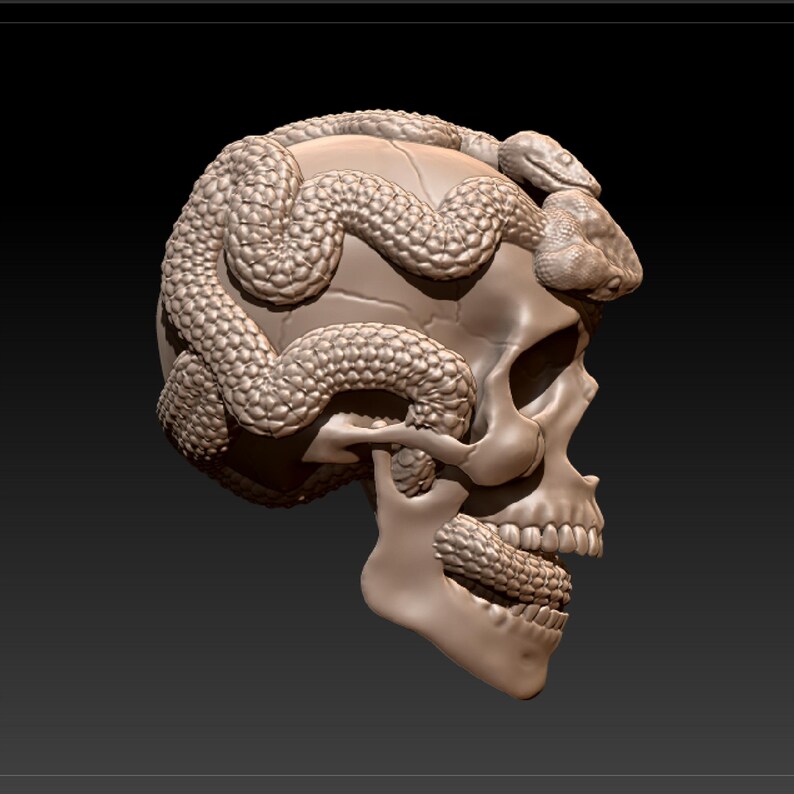 Skull and Snake/halloween 3D Prints/3d Models for CNC Router STL File ...