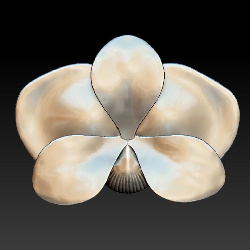 Orchid 3D Model/3d Prints STL File - Etsy