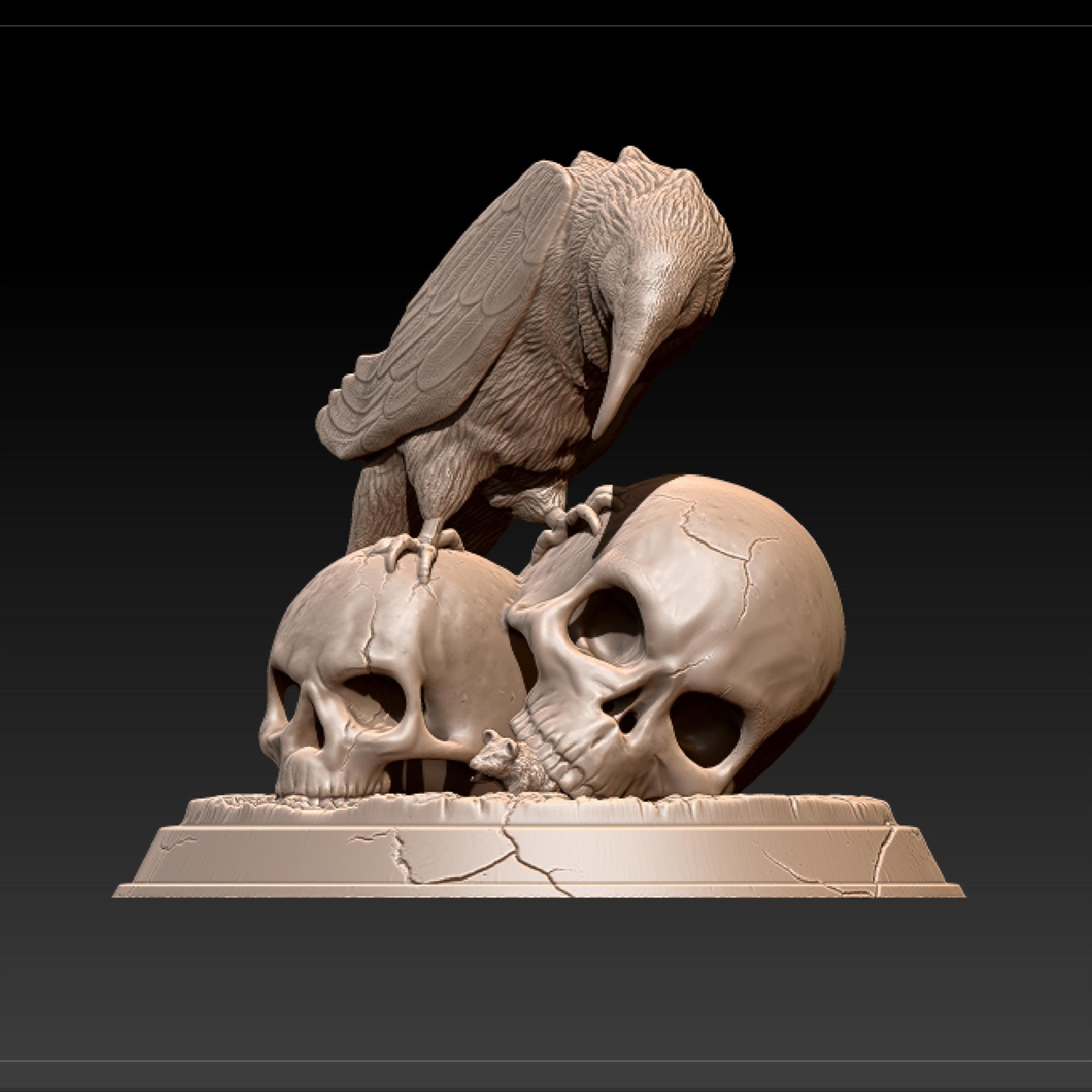 Crow and Skull 3D Prints STL File - Etsy