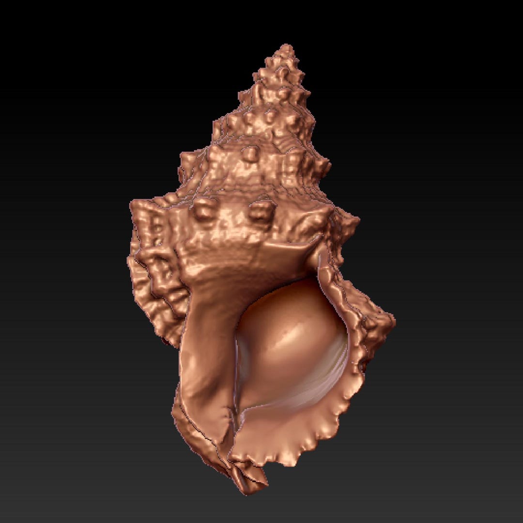 Conch 11in1 3D Prints/3d Models for CNC Router STL File - Etsy