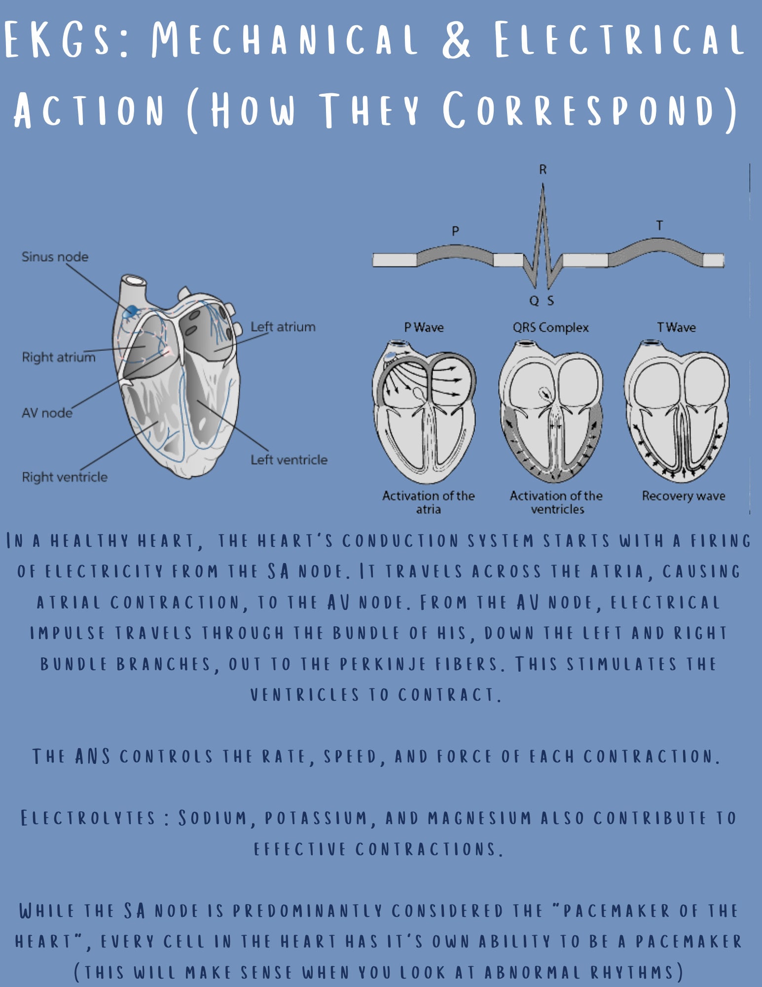 EKG Study Guide: Digital Download - Etsy