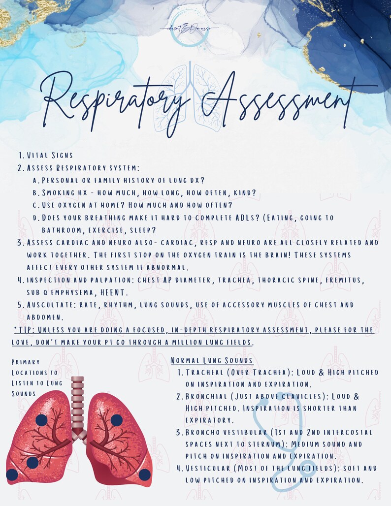 Physical Assessment Template: Digital Download - Etsy