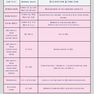 Hematology Study Guide: Digital Download - Etsy