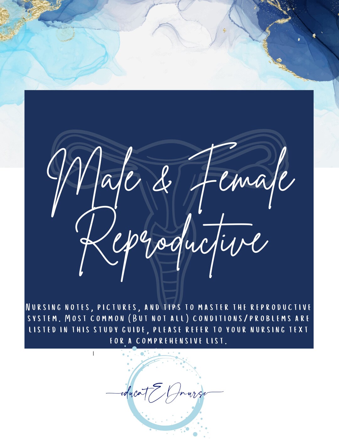 Male & Female Reproductive Study Guide: Digital Download - Etsy