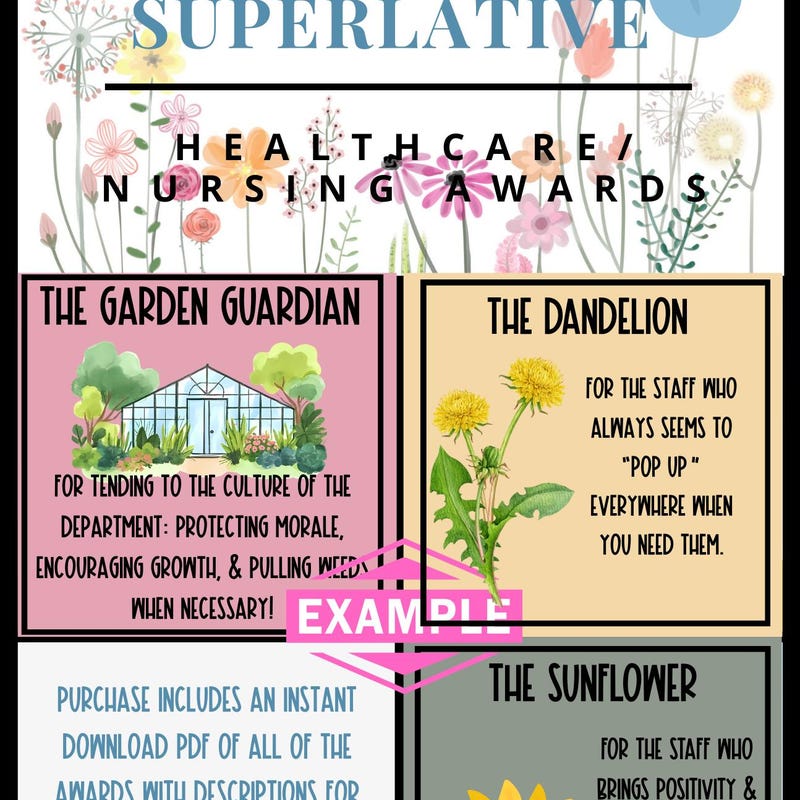 Funny Healthcare Appreciation Awards - Etsy