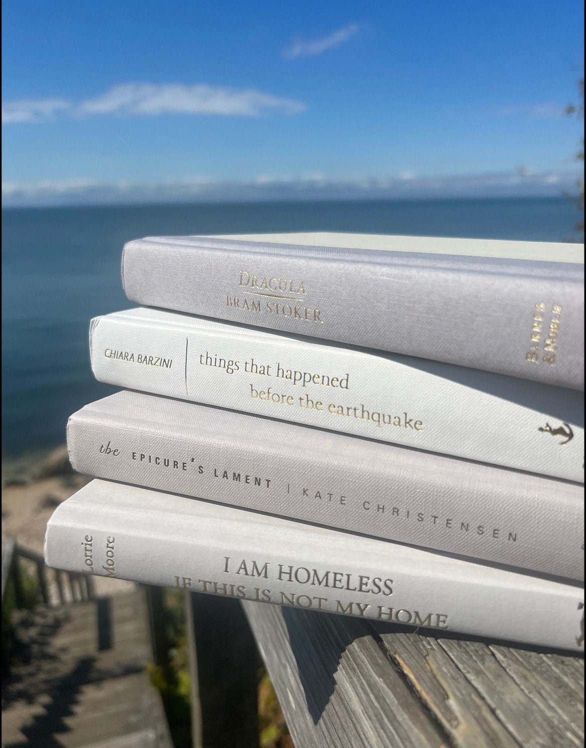 Soft Neutral Decorative Books, Pretty Decor Books, Bookshelf Styling ...