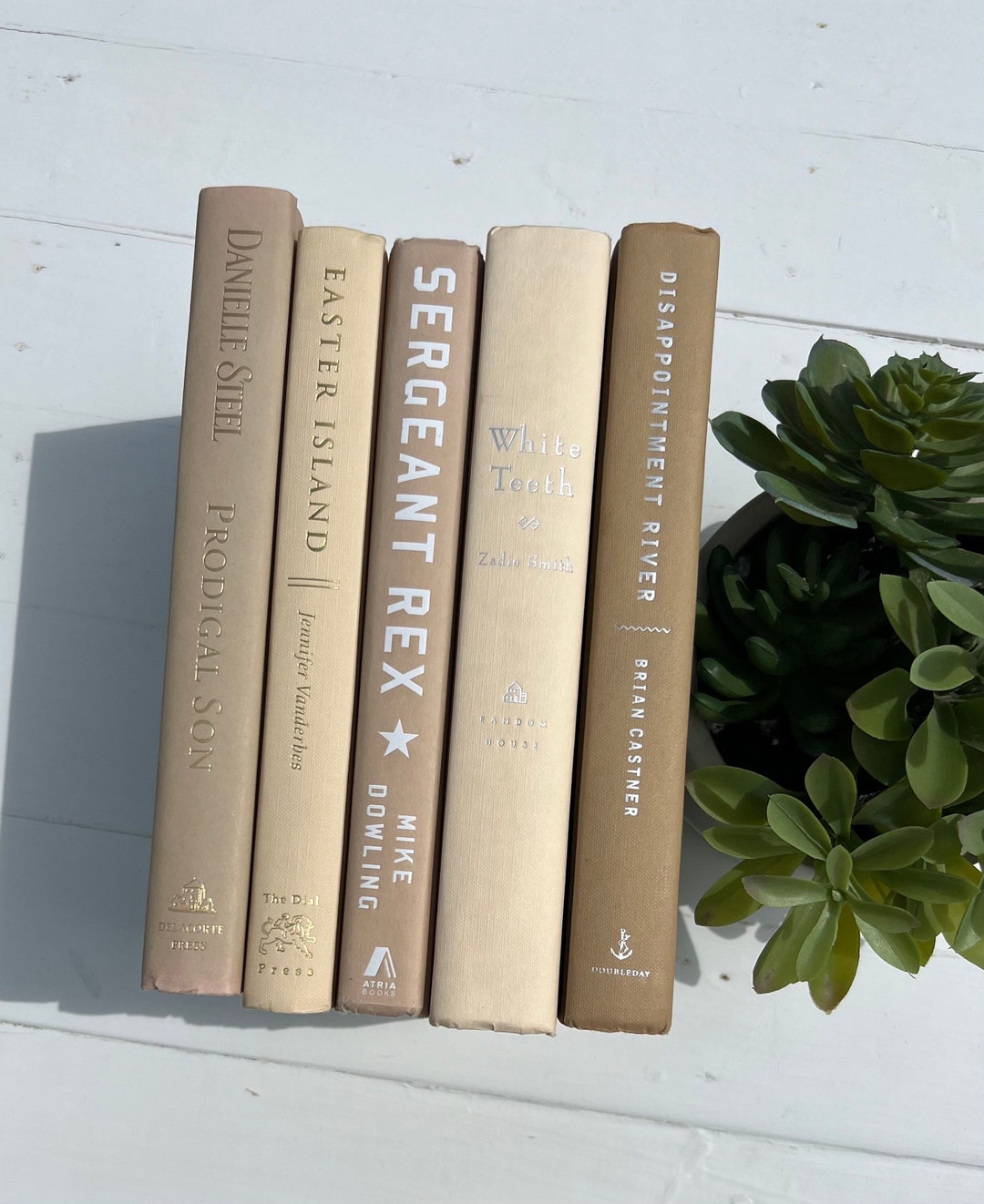 Neutral Decorative Books, Earth Tone Decor Books, Light Neutral Books ...