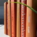 Orange Decorative Books, Orange Book Bundle, Staging Books, Autumn ...