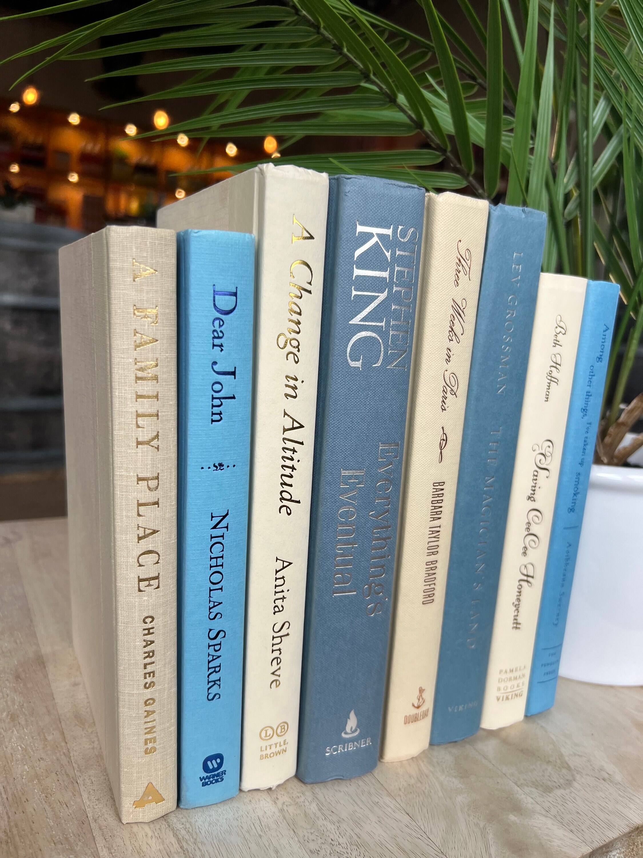 Coastal Decorative Books, Beachy Books, Book Decor, Seashore-themed ...