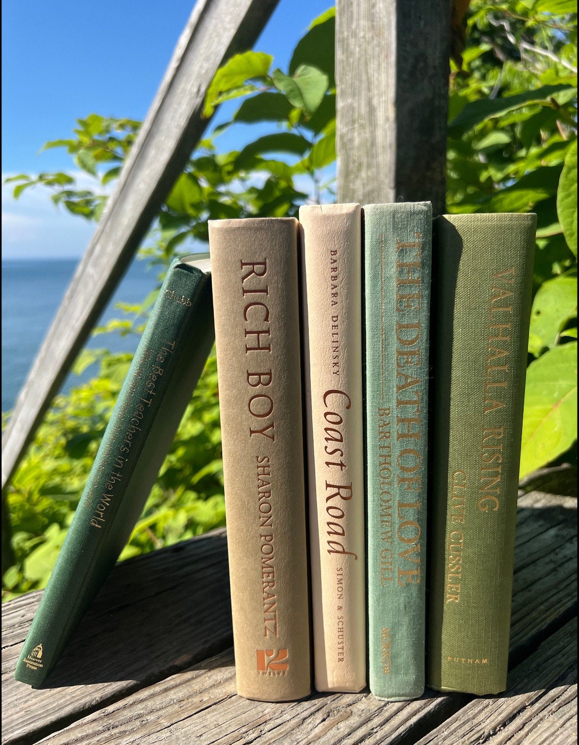 Warm Earth Tone Decor Books, Neutral Decor Books, Earth Tone Decorative ...