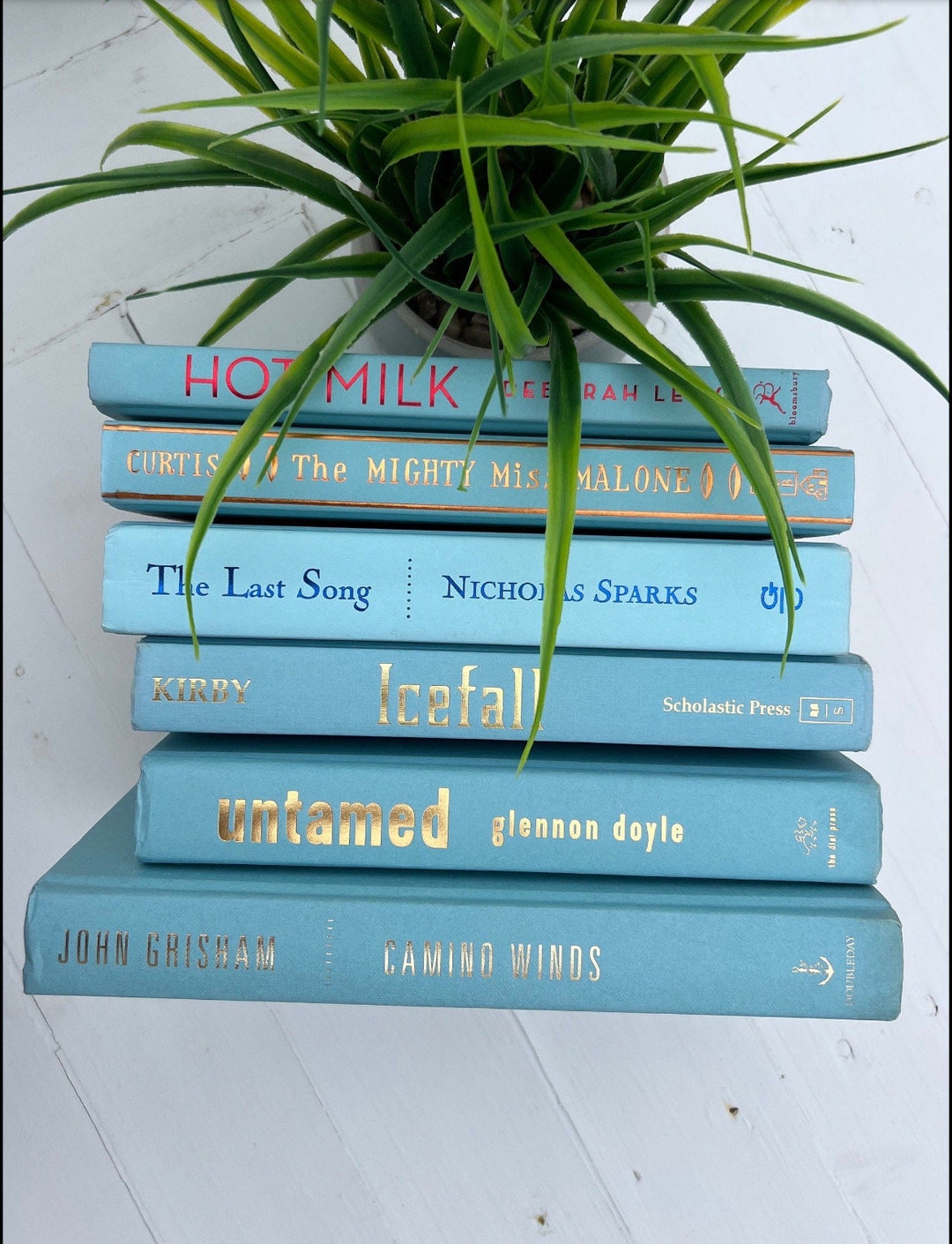 Light Blue Decorative Books, Light Blue Home Decor, Beachy Home Decor ...