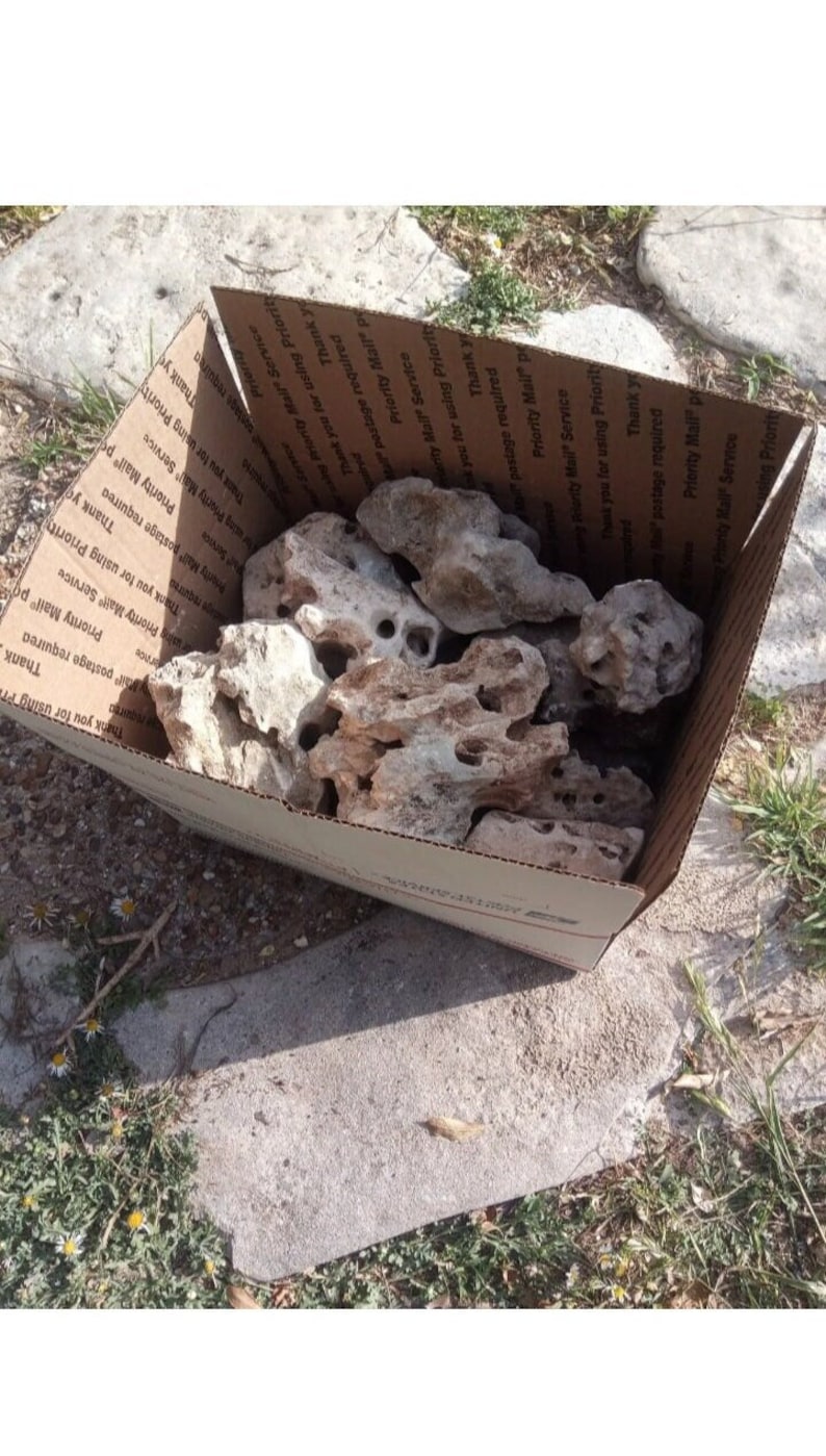 1 Box of Texas Natural Limestone Holey Rock Aquarium Terrarium Rocks ...