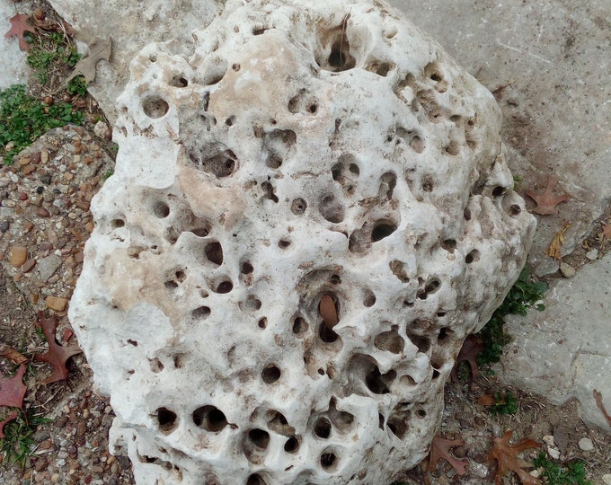 Large Texas Natural Limestone Holey Rock Aquarium Terrarium Rocks ...