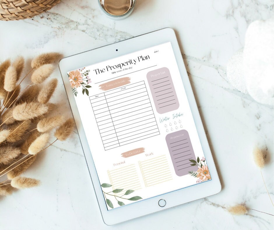 The Prosperity Plan | Daily Planner Sheet - Etsy