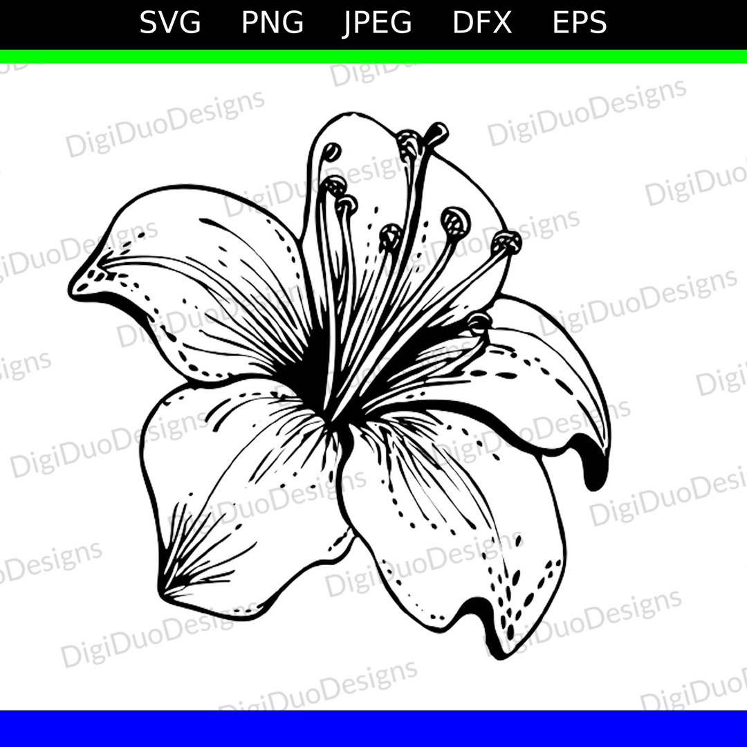 Lily Flower SVG, Floral SVG, Pond Lily, Digital Art, Al Generated ...