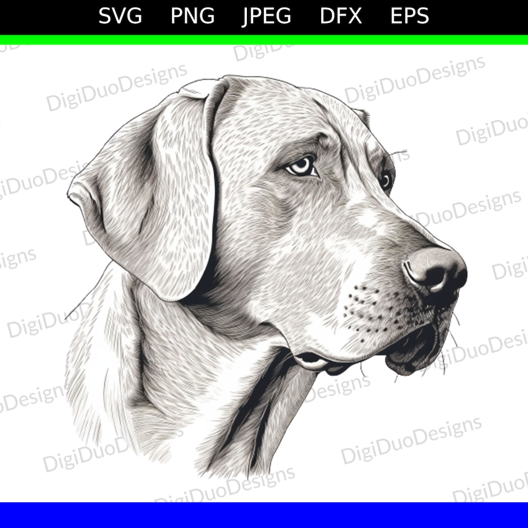 Labrador SVG, Dog SVG, Lab SVG, Dog Svg.digital Art, Al Generated ...