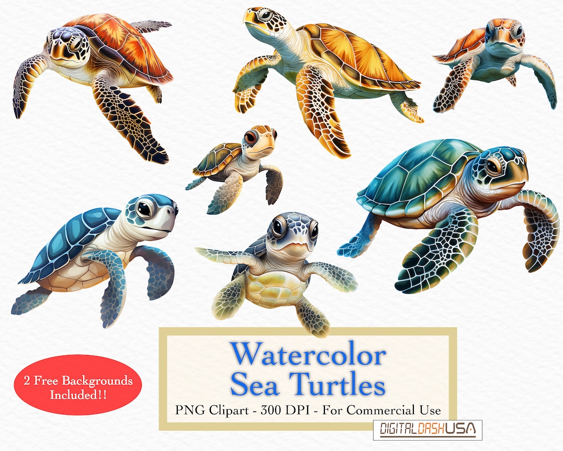 Watercolor Sea Turtle Clipart, Cute Aquatic Life Digital Art, Ocean ...