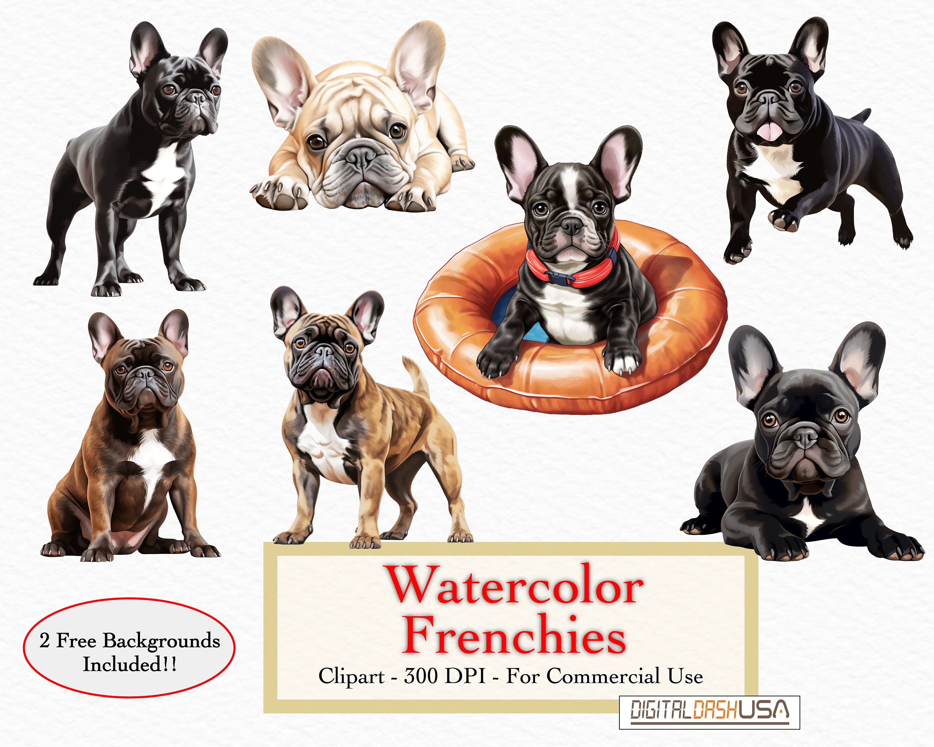 Frenchie Watercolor Clipart With Backgrounds, French Bulldog PNG, Cute ...