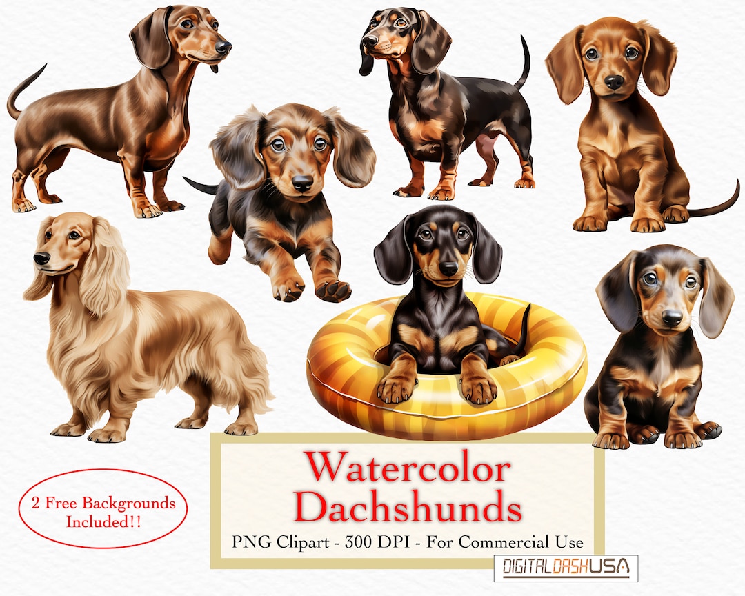 Watercolor Miniature Dachshund Clipart, Cute Mini Dach Puppies Digital ...