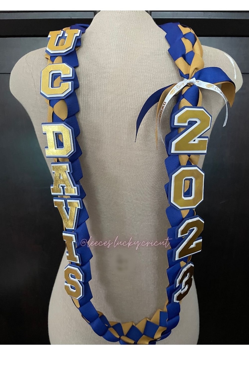 Graduation Lei/ Custom Lei/ High School College Graduation Gift ...