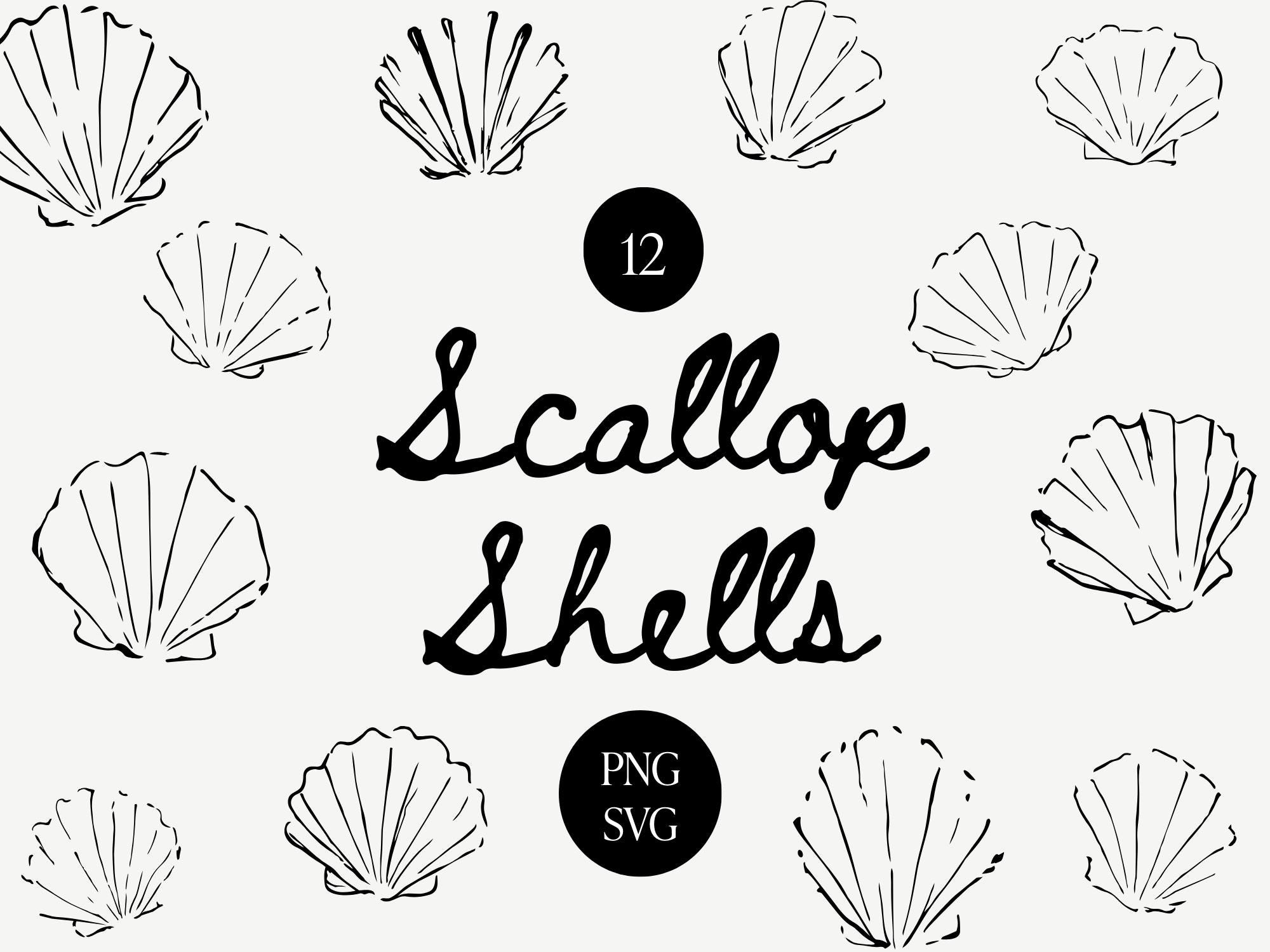 Hand Drawn Scallop Shell SVG Clipart, Minimal Coastal Doodle ...