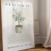 Grafted In, Wild Olive Tree Natural Branches, Romans 11:19-24, Olive ...