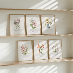 The Beatitudes, Sermon on the Mount Set of 6 Christian Wall Art Floral ...