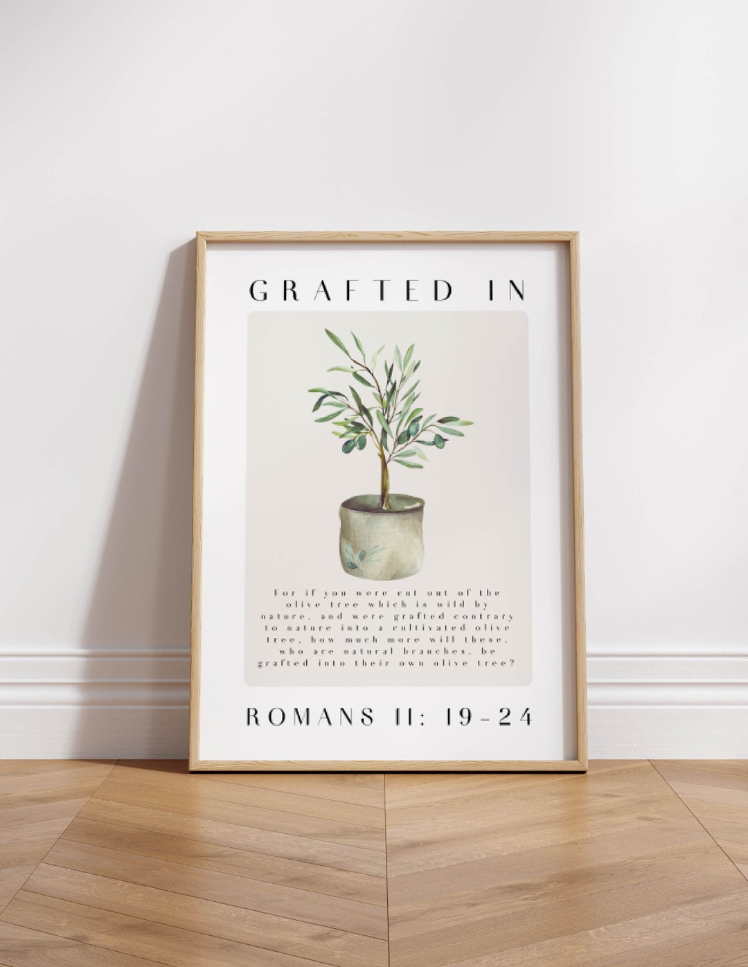 Grafted in Wild Olive Tree Natural Branches Romans 11:19-24 Olive Tree ...