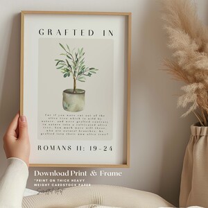 Grafted In, Wild Olive Tree Natural Branches, Romans 11:19-24, Olive ...