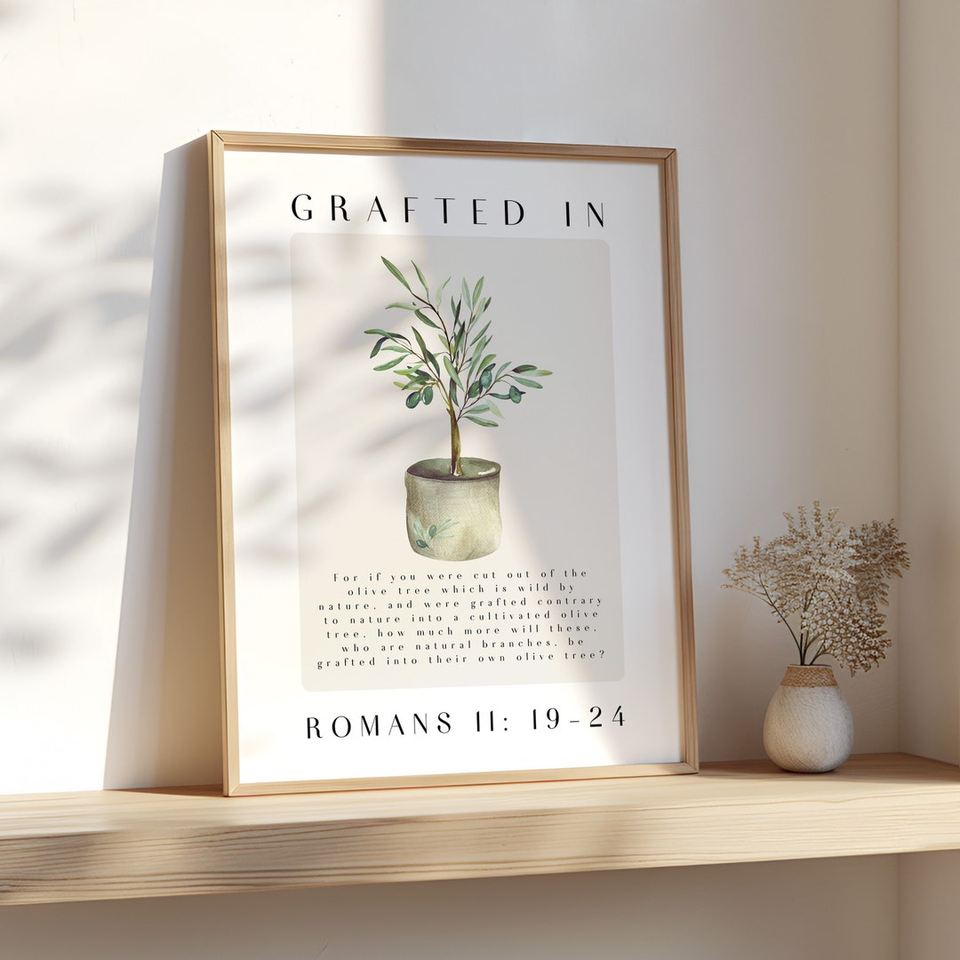 Grafted In, Wild Olive Tree Natural Branches, Romans 11:19-24, Olive ...