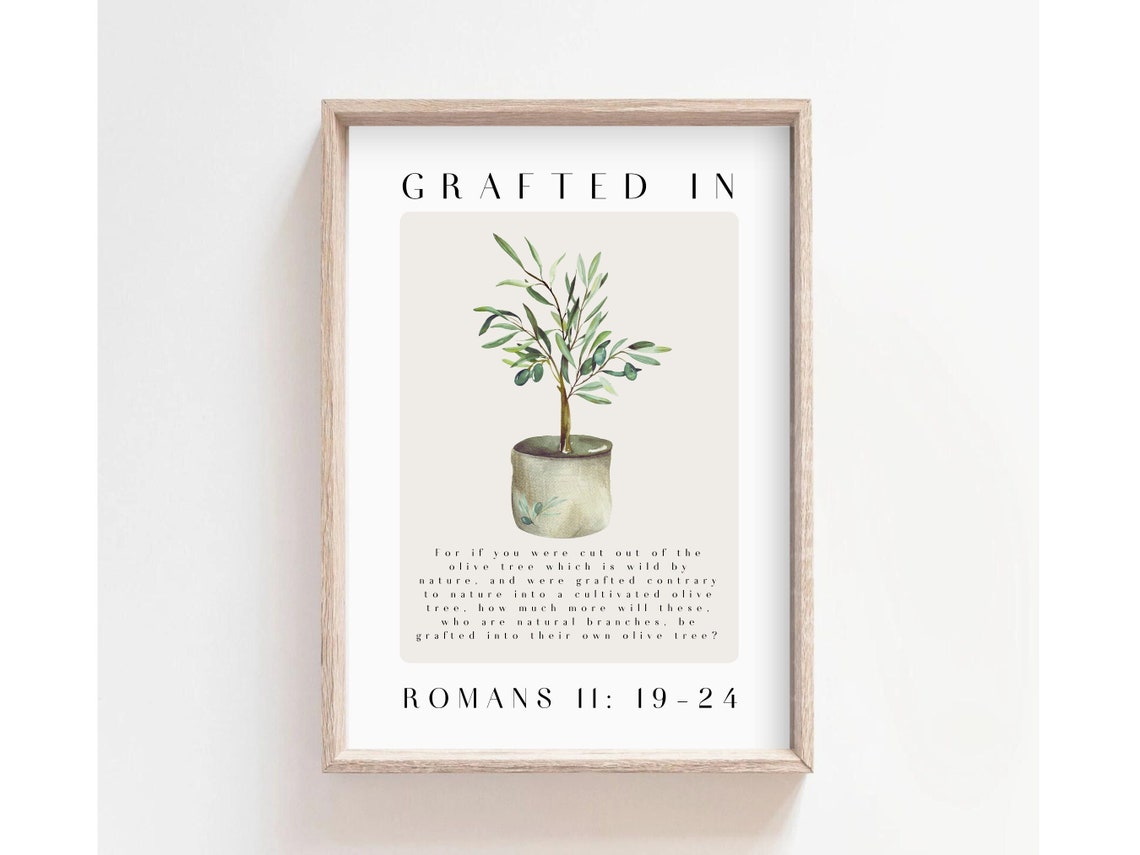 Grafted in Wild Olive Tree Natural Branches Romans 11:19-24 - Etsy