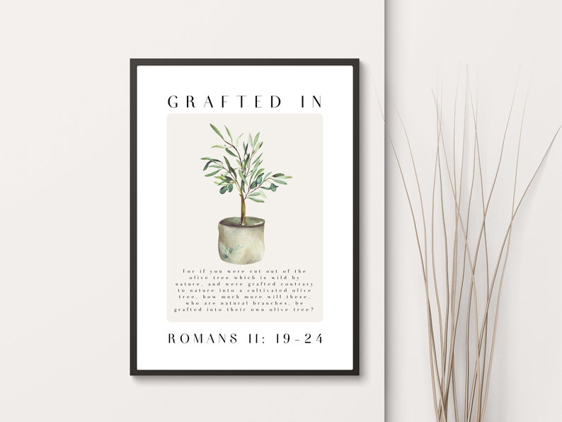 Grafted in Wild Olive Tree Natural Branches Romans 11:19-24 - Etsy