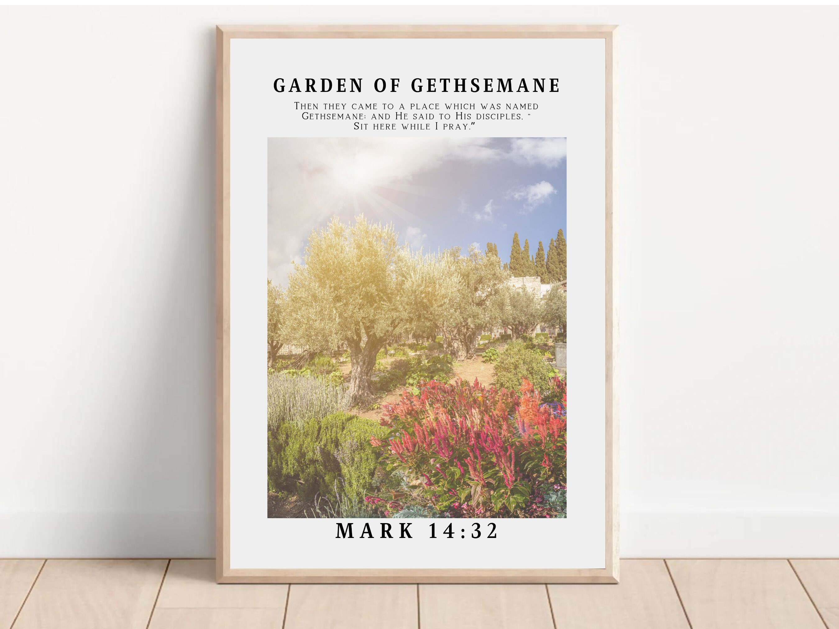 The Garden of Gethsemane Israel Wall Art Olive Garden Mount - Etsy