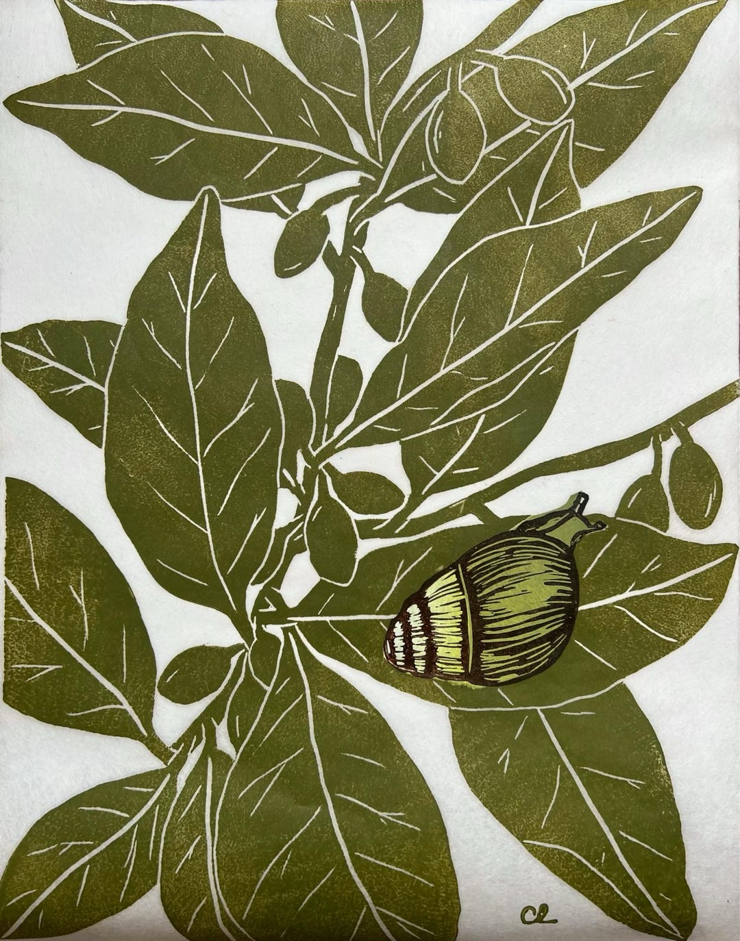 Kāhuli on Olopua, Hawaiʻi Native Species, Original Linocut Print ...