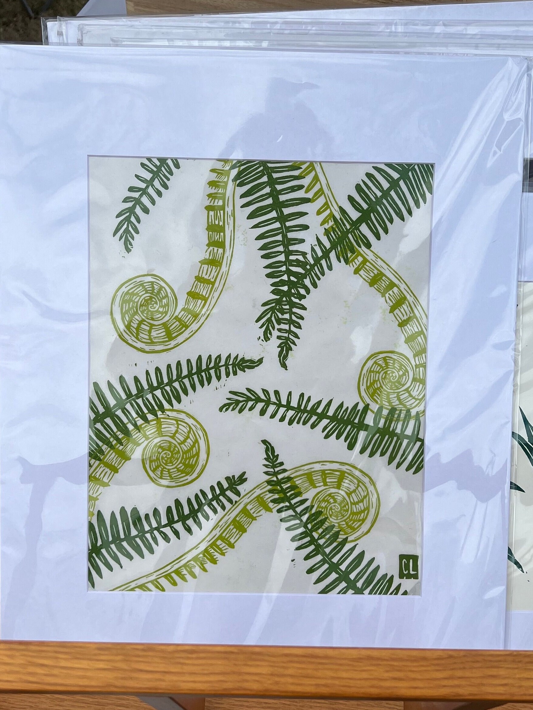 Resilience, Hāpuu Tree Fern and Fiddleheads, Native Hawaiian Plant ...